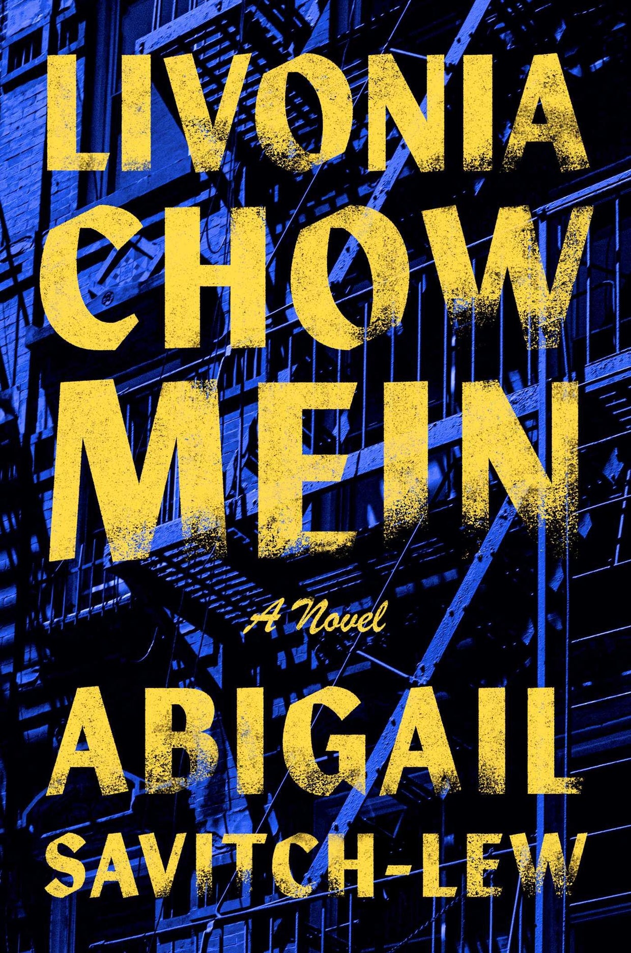 Readers vote "Livonia Chow Mein" by Abigail Savitch-Lew the new book ...