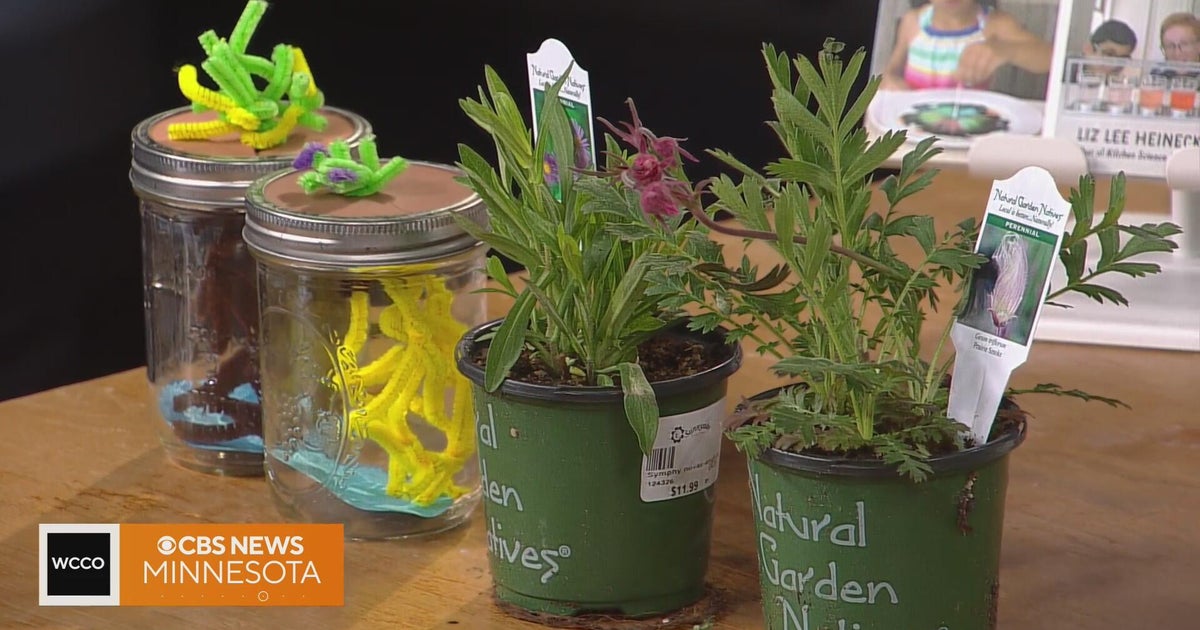 Easy ways that you can help take care of planet Earth - CBS Minnesota