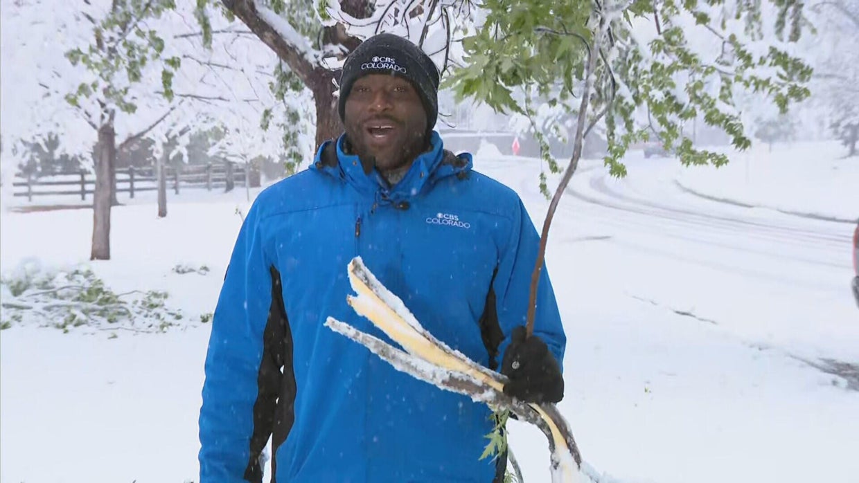 This Colorado snowstorm could be a branch breaker. What to do with ...