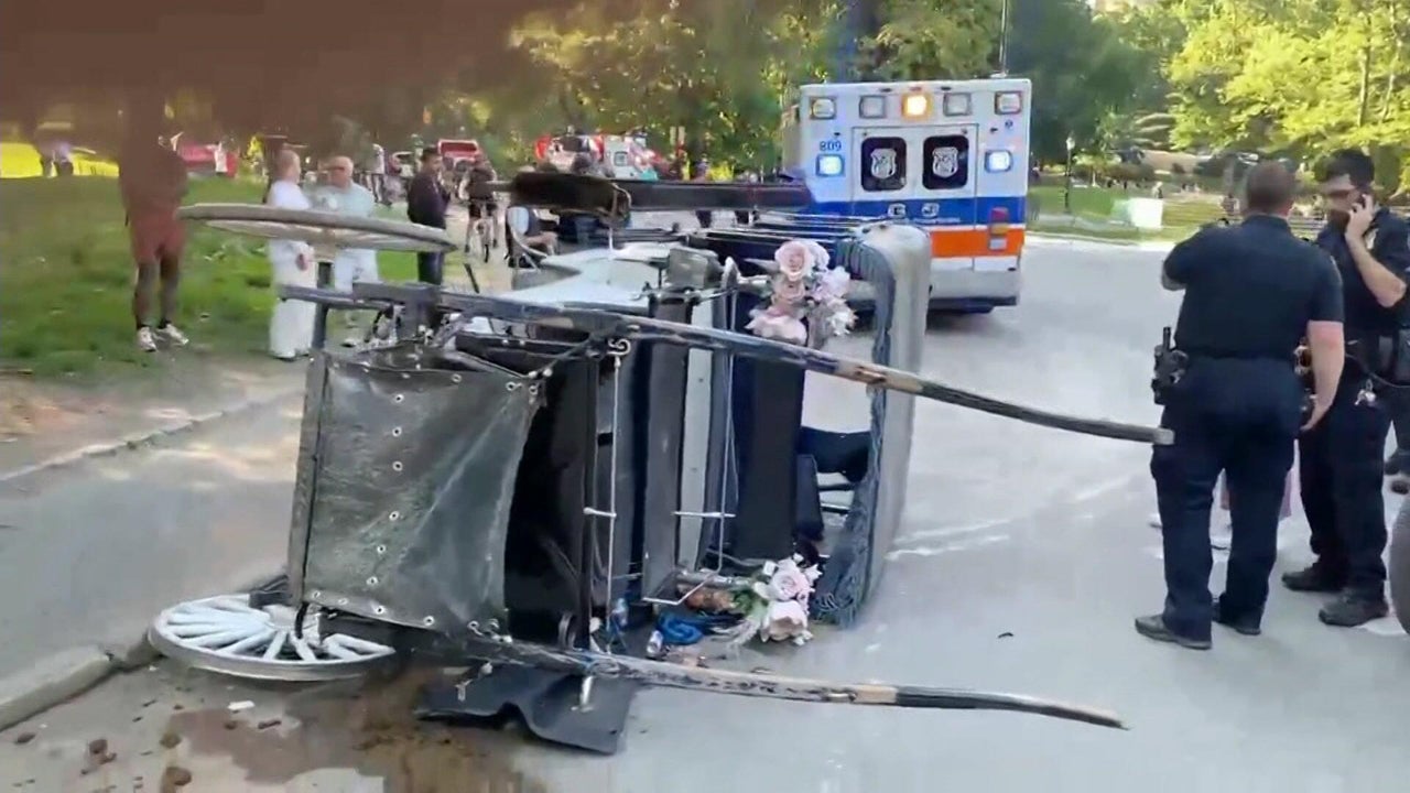 Central Park news - Today’s latest updates - CBS New York