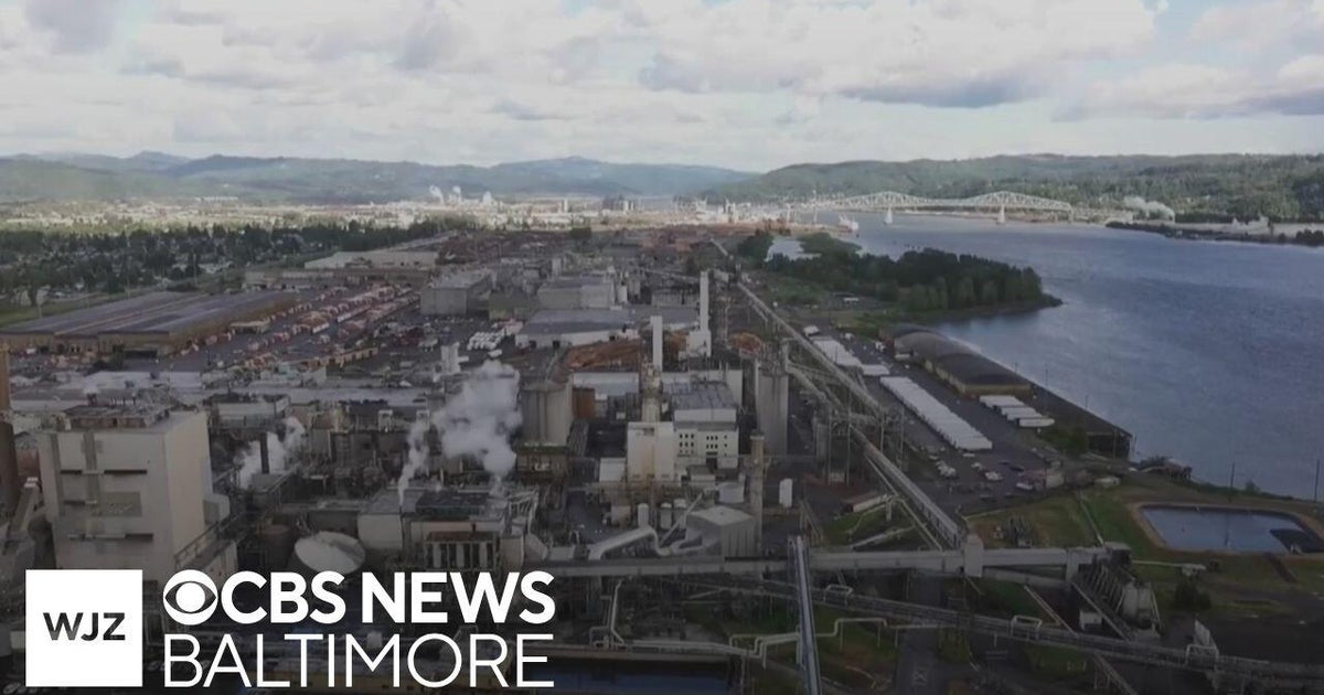 1 dead, 9 missing after chemical tank explosion at Pulp & Paper Mill in ...
