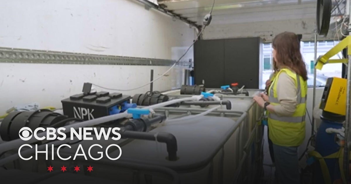 Pee-cyclcing: Recycling urine for farm fertilizer - CBS Chicago