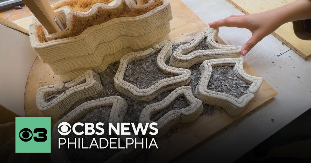 Penn researchers turn food scraps into building materials - CBS ...