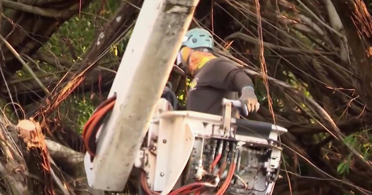 Underground power lines perform better during hurricanes as grid ...