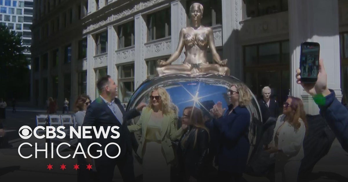 "Monuments of Stillness" art installation opens on Michigan Ave. - CBS ...