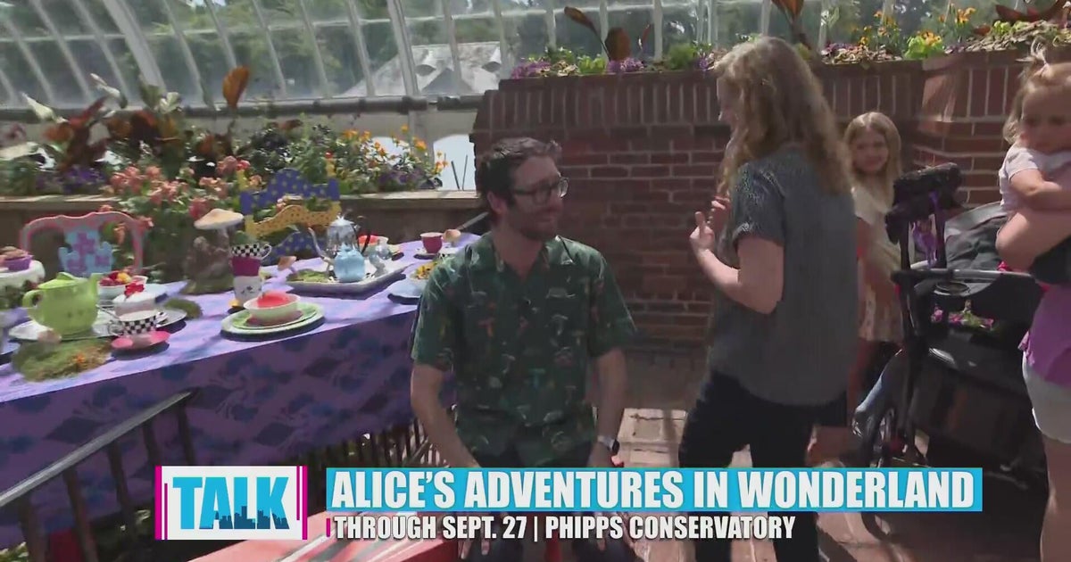 Checking out Phipps' summer flower show - CBS Pittsburgh