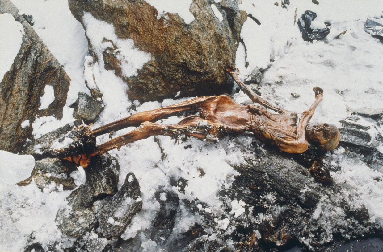 Scientists find yeast in frozen mummy's guts, use it to make sourdough ...