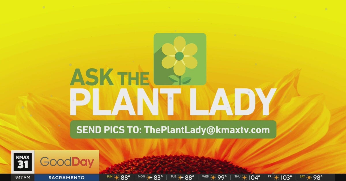 The Plant Lady 9am Pt. 1 (6/7) - Good Day Sacramento