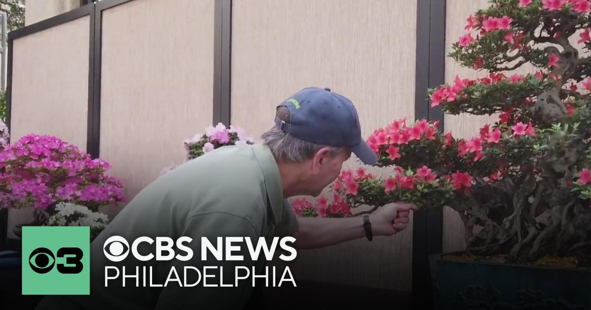 Summer Beat: Dedicated volunteers help keep Longwood Gardens blooming ...