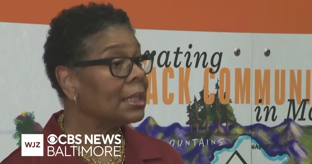 Reginald F. Lewis Museum President Terri Lee Freeman retiring in ...
