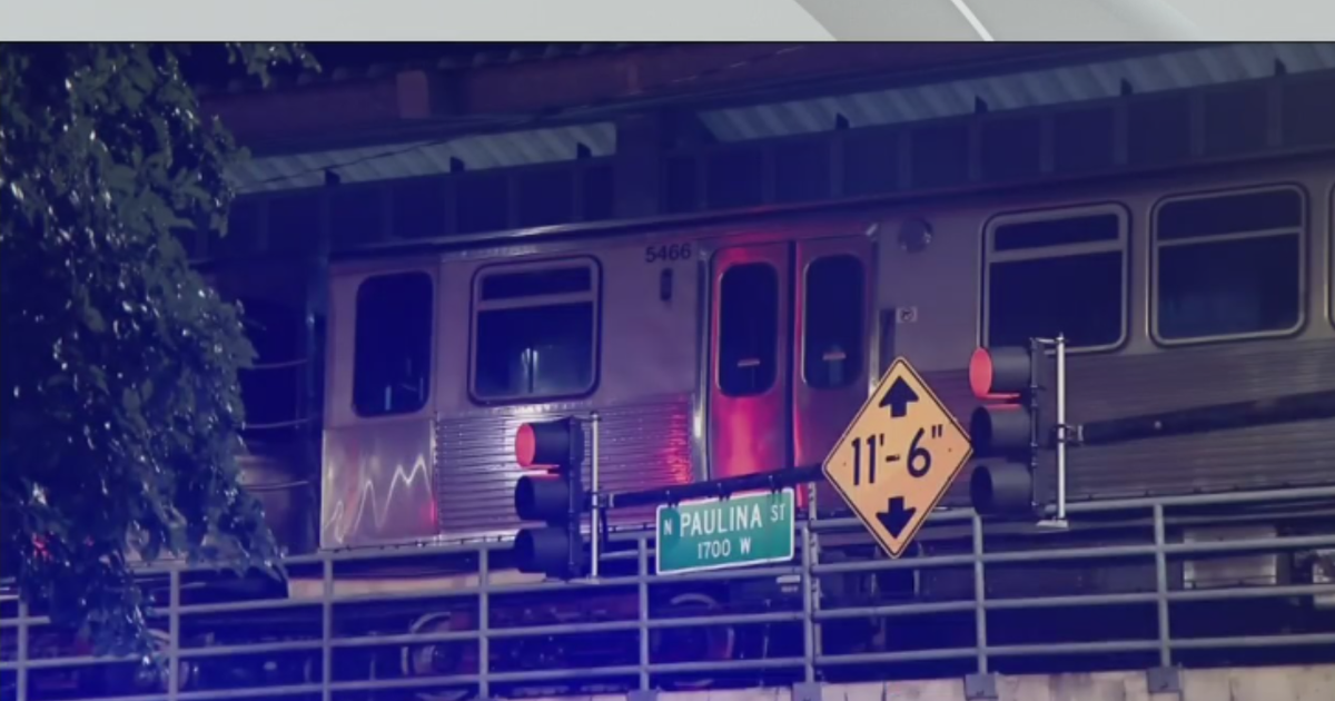 CTA Yellow Line passengers evacuated after downed tree causes ...