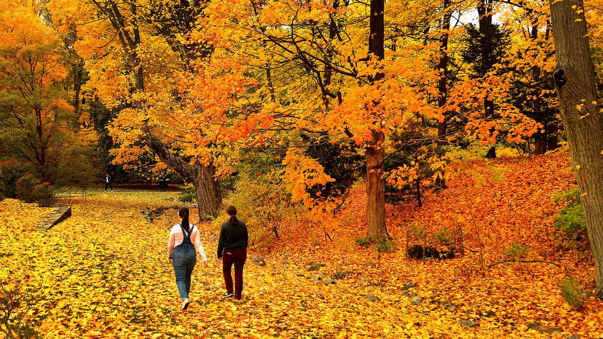 Fall foliage season may be longer in New England this year, expert says ...