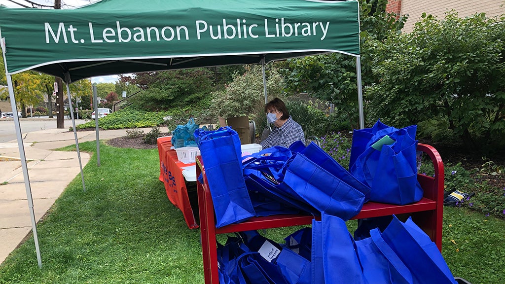 Friends Of The Mt. Lebanon Library Hold Drive-Thru Book Sale - CBS ...